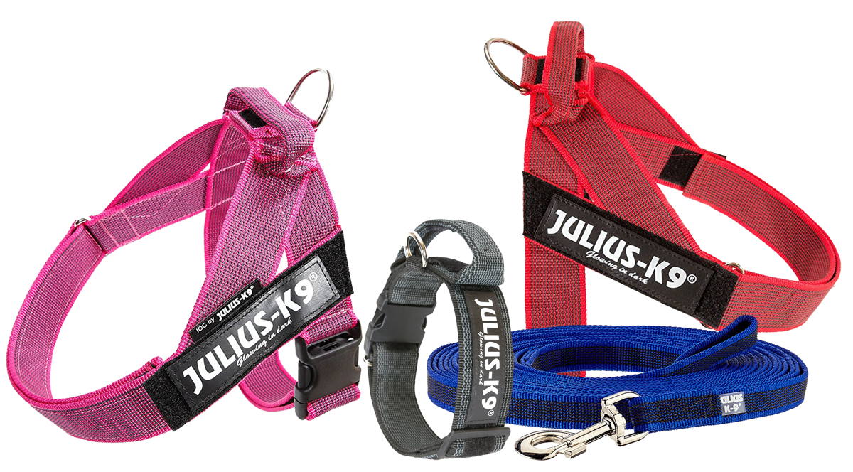 Julius K9 HARNESS | harness, leash and collar | MADE IN EU Julius-K9